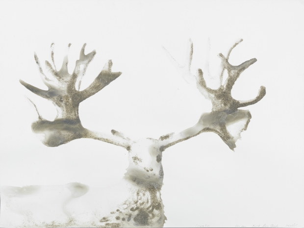 » New York – Alexis Rockman: “A Natural History of Life in New York ...
