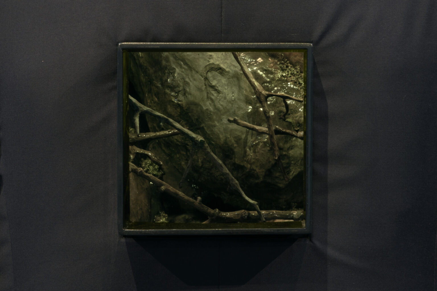 » AO On Site - AO Art Observed